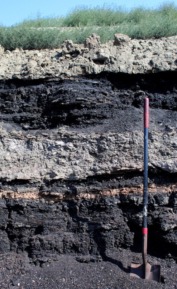 Mining - Leonardite Products