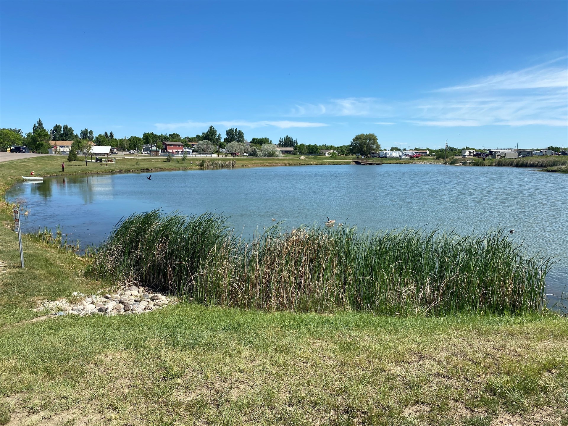 City Parks With Ponds